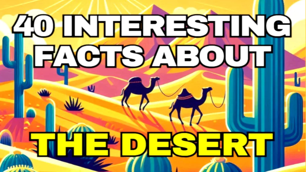 40 interesting facts about deserts - Sandboarding